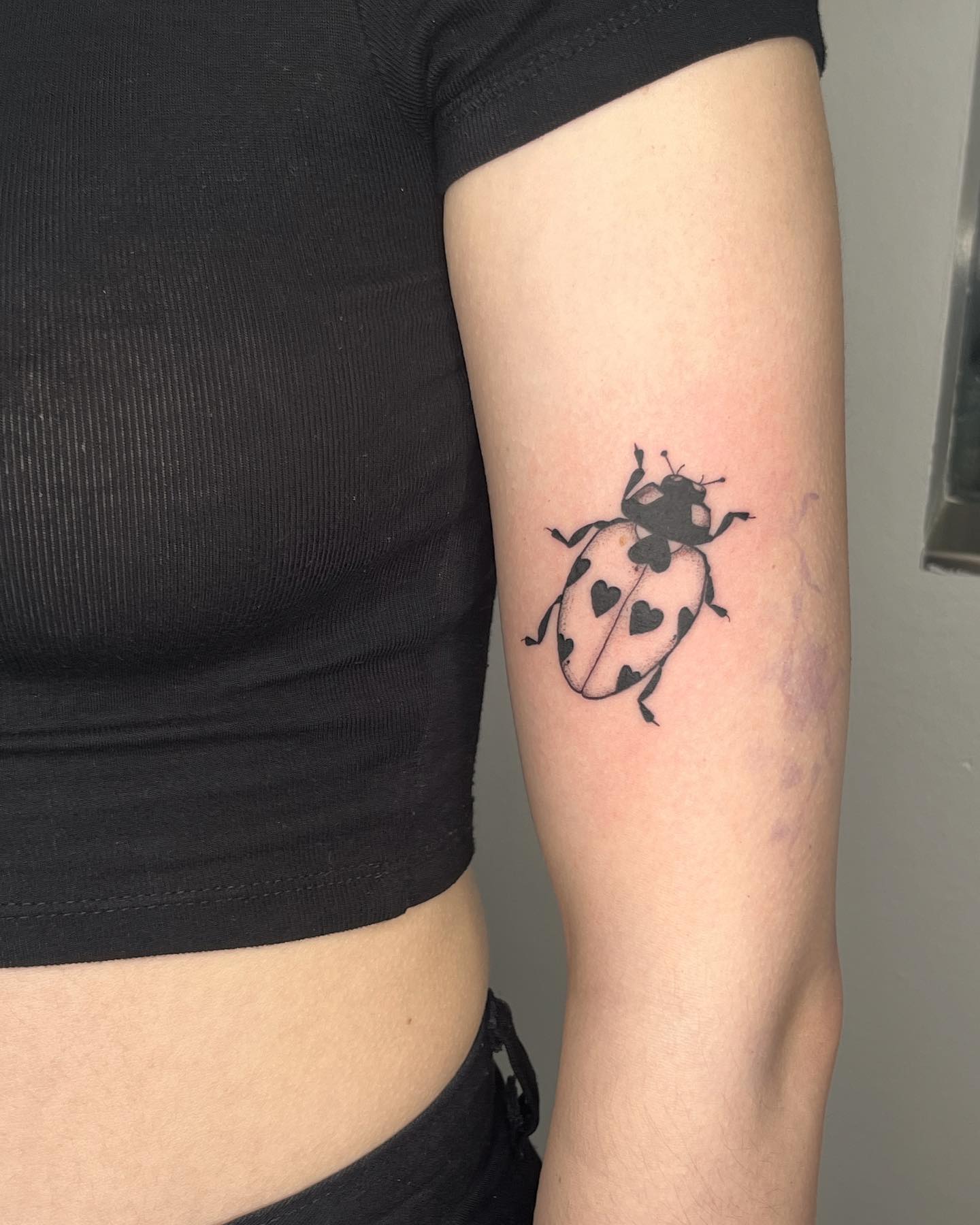 10 Best Ladybug Tattoo Ideas In 2024!