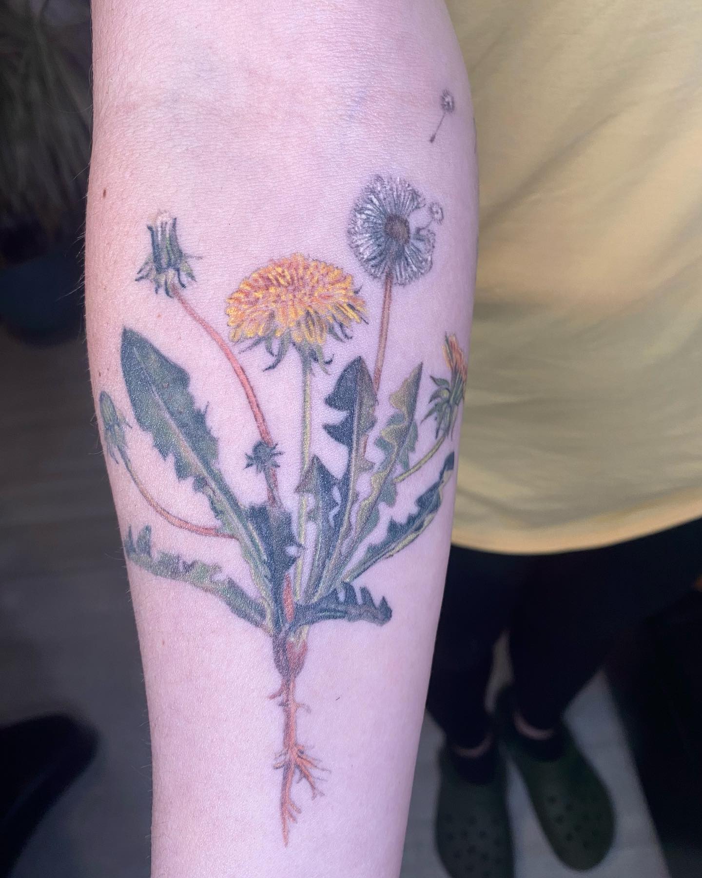 DANDELION TATTOO MEANINGS & INSPIRING DESIGNS YOU NEED TO SEE IN 2024