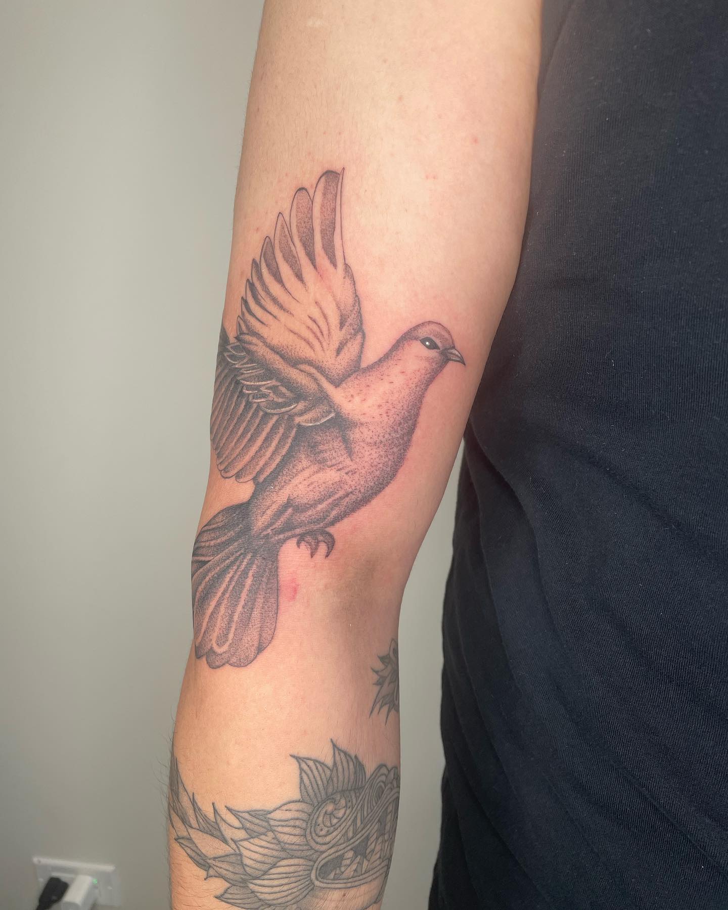 Amazing Dove Tattoo Designs & Their Meaning