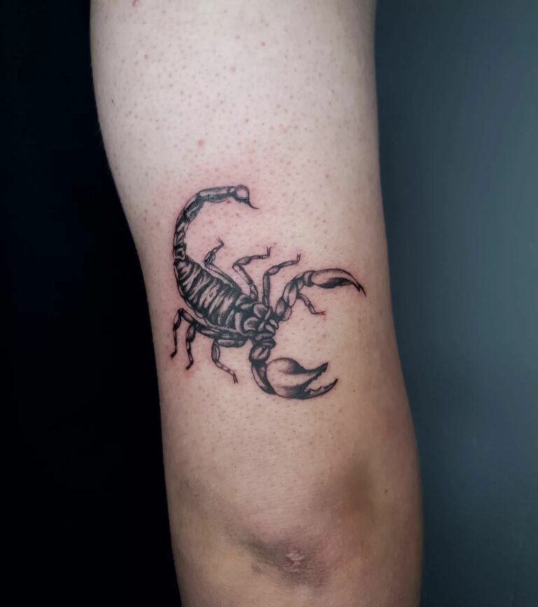 22 AMAZING SCORPION TATTOO DESIGNS - UPDATED FOR 2024
