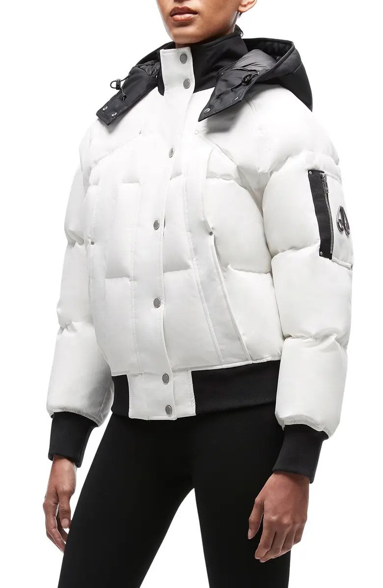 Canada Goose vs Moose Knuckles: Discovering the Key Differences in 2024