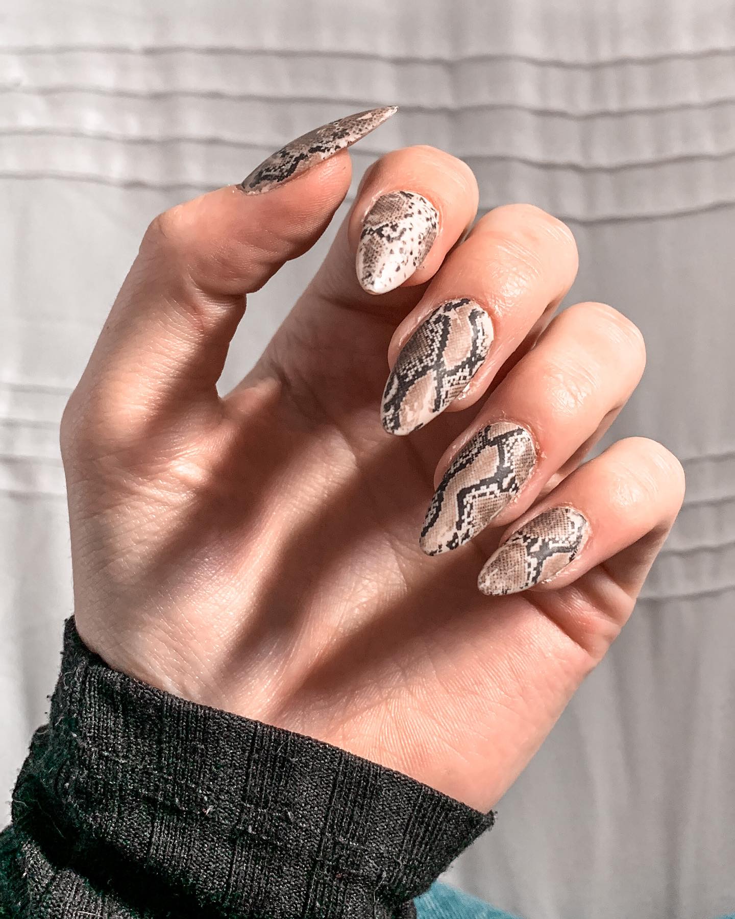 30 Latest Snake Nail Designs To Try In 2024!