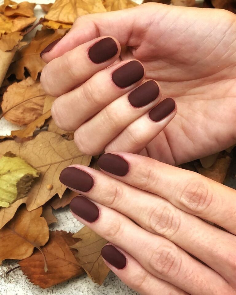 44 Latest Matte Brown Nail Ideas To Try In 2024!
